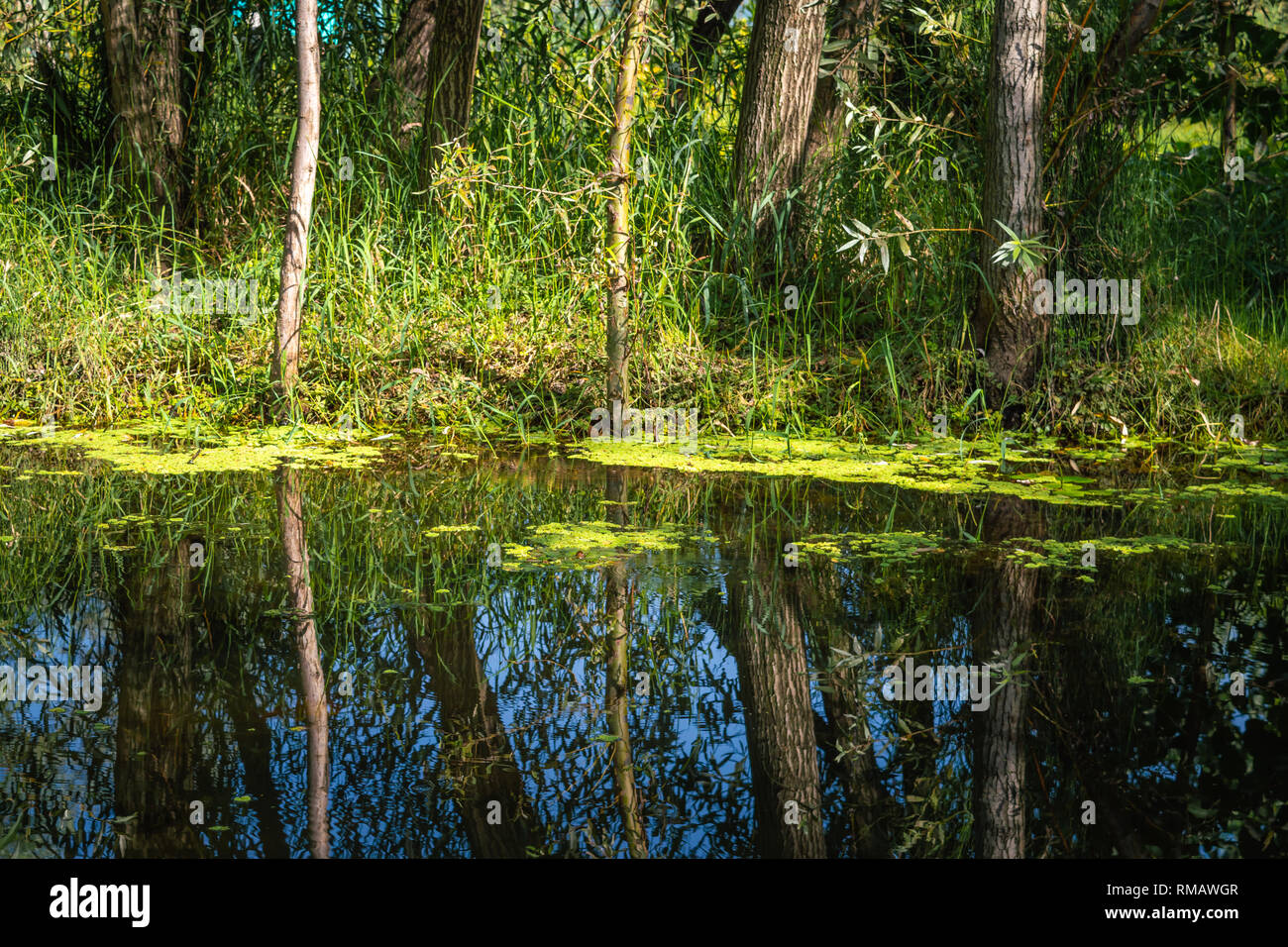 Murky water hi-res stock photography and images - Alamy