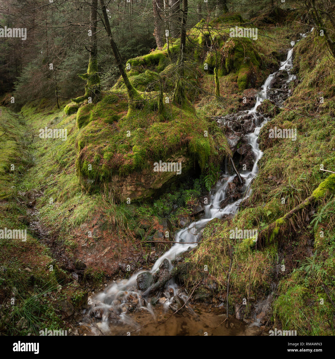 Lady brook hi-res stock photography and images - Alamy