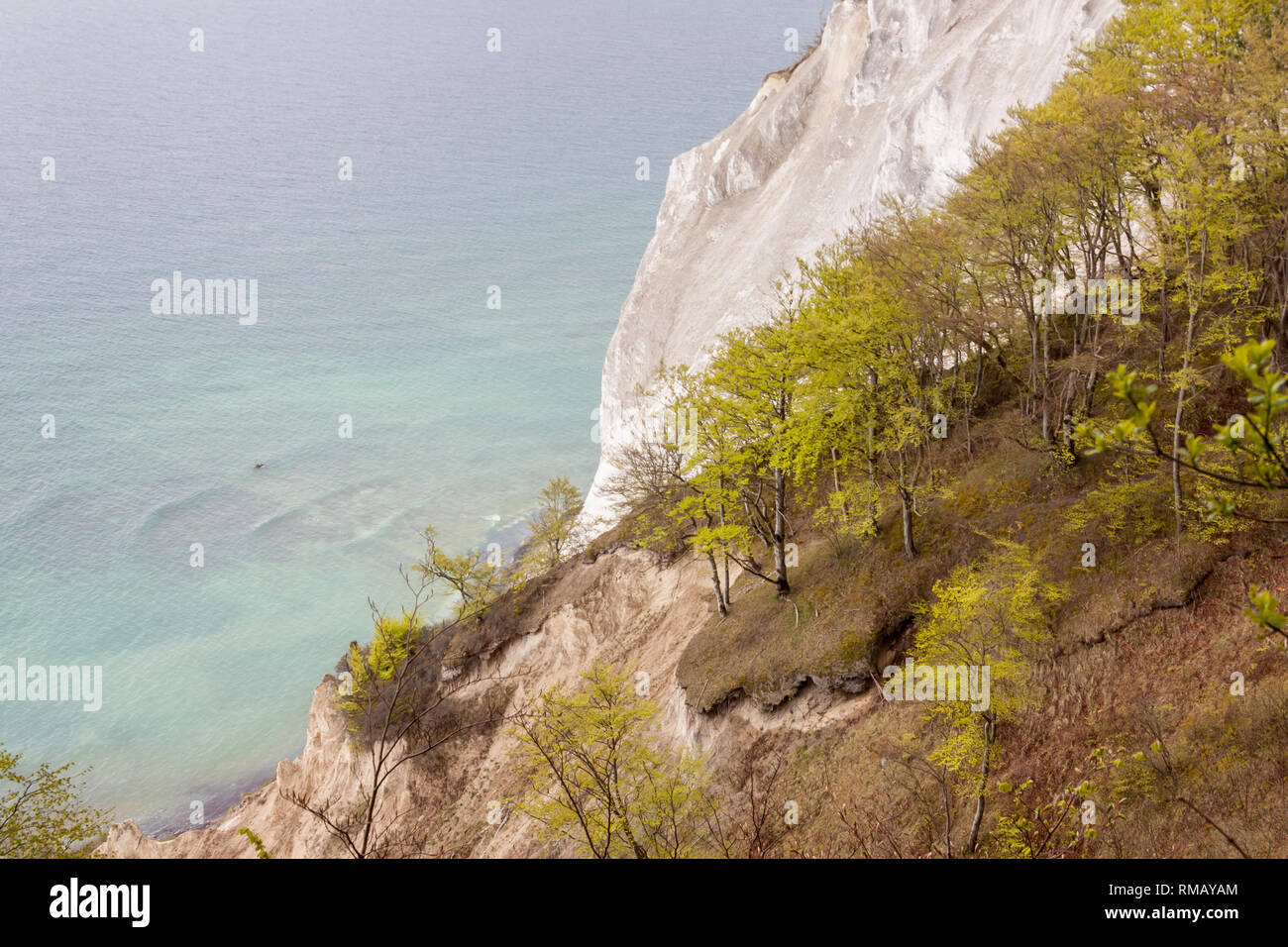 White cliffs - Mons, Denmark, Europe Stock Photo - Alamy