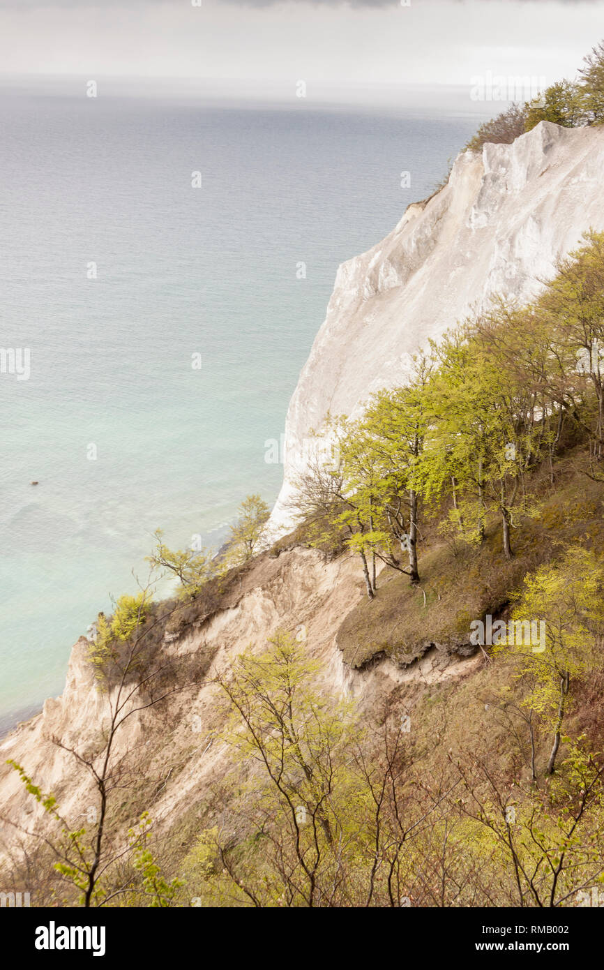 White cliffs - Mons, Denmark, Europe Stock Photo - Alamy