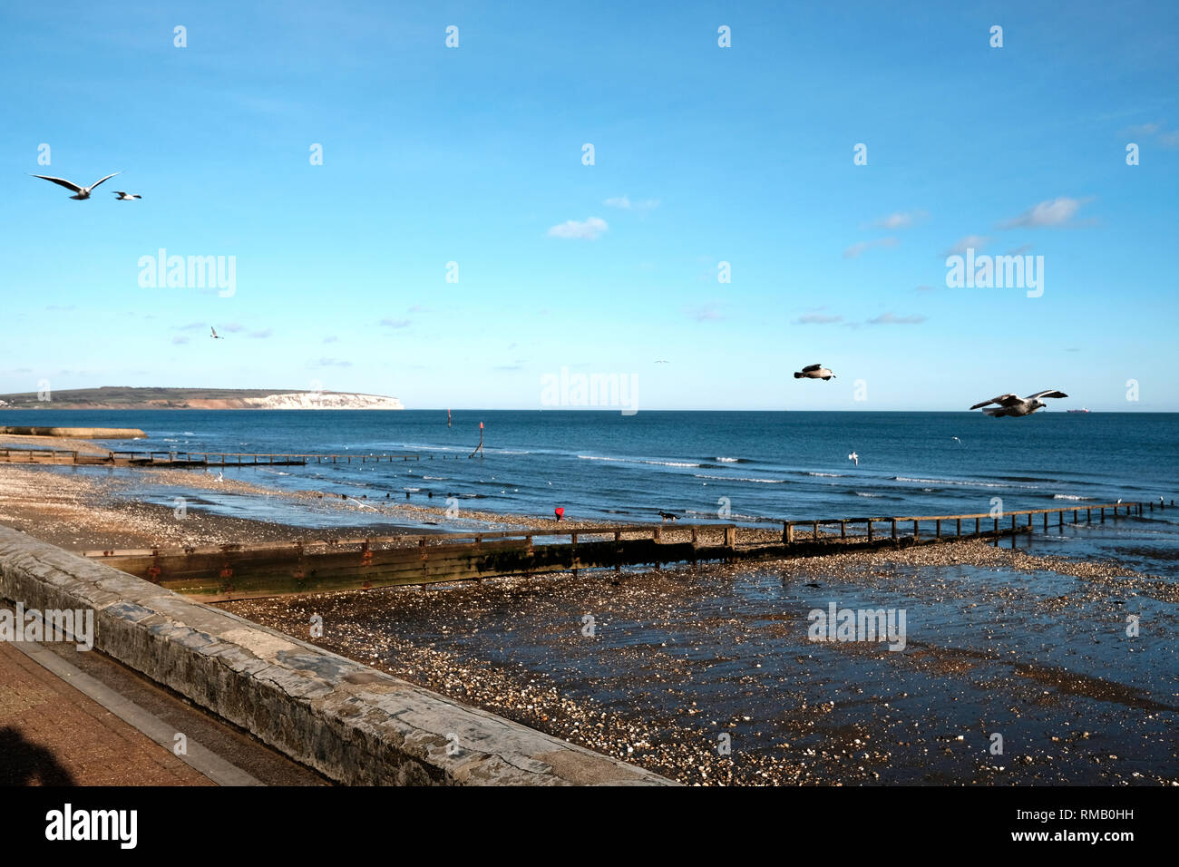 An empty Shanklin Beach in winter, with seagulls in flight above ...