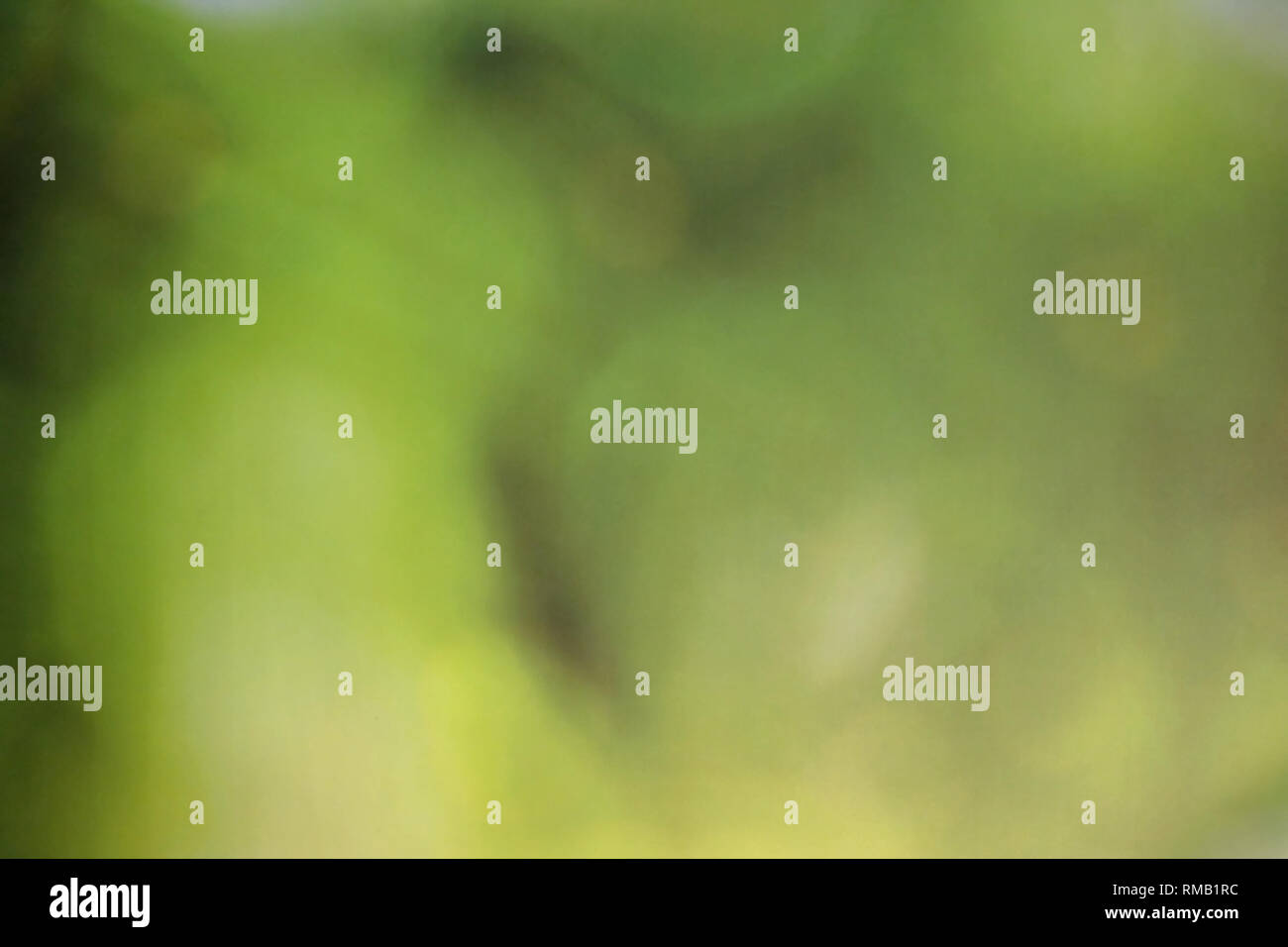 Abstract background of blur camouflage cloth front view close up Stock ...