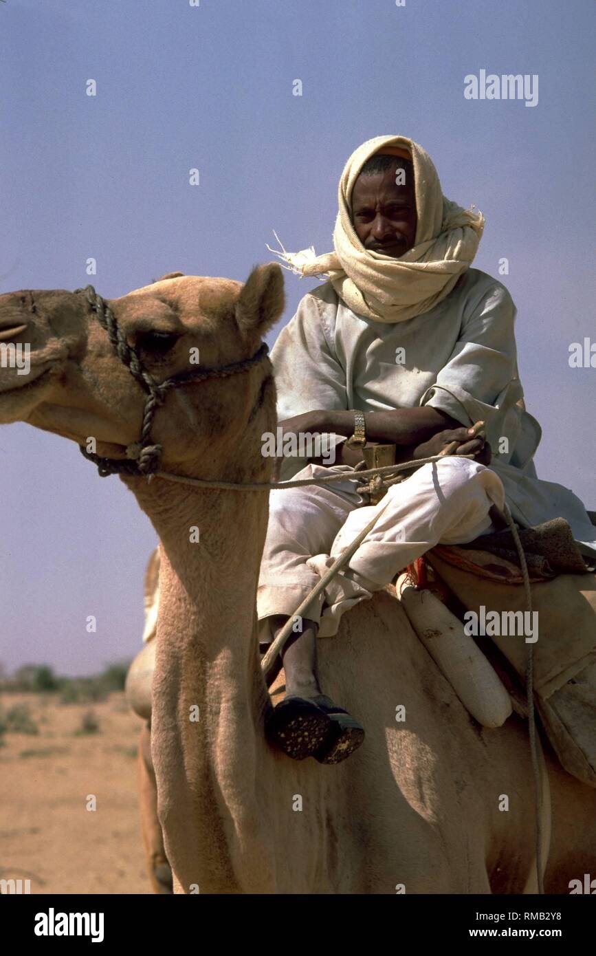 On the way: Sudanese man on his camel in the Bayuda Desert between ...