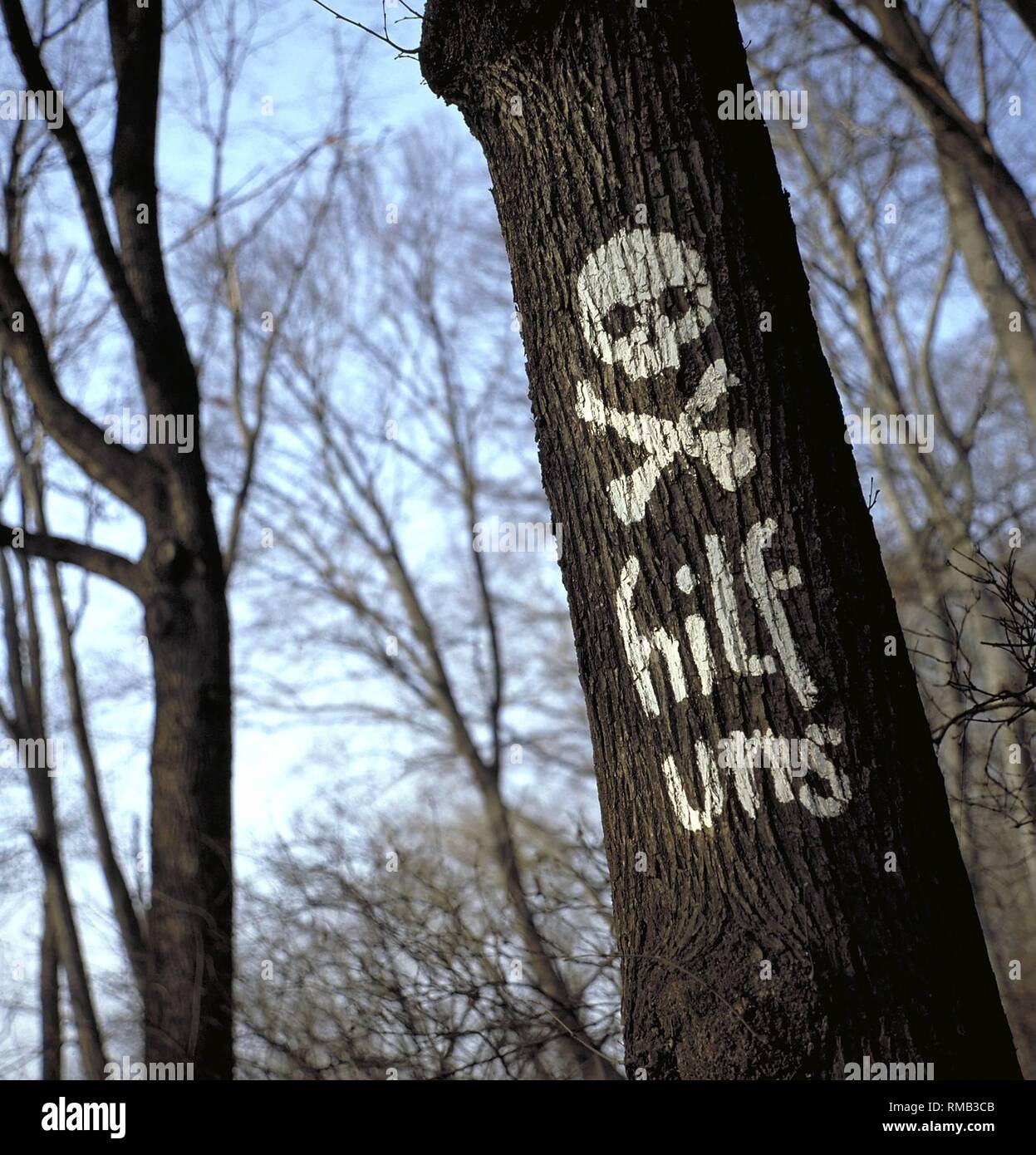 Tree trunk with skull: Protest of unknown environmentalists against the ...