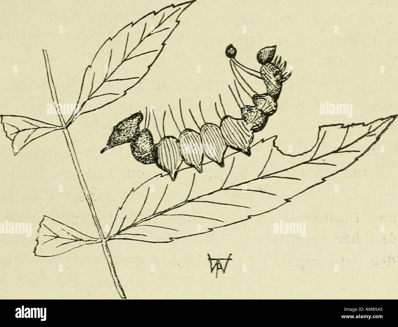 Fitting sheath hi-res stock photography and images - Alamy