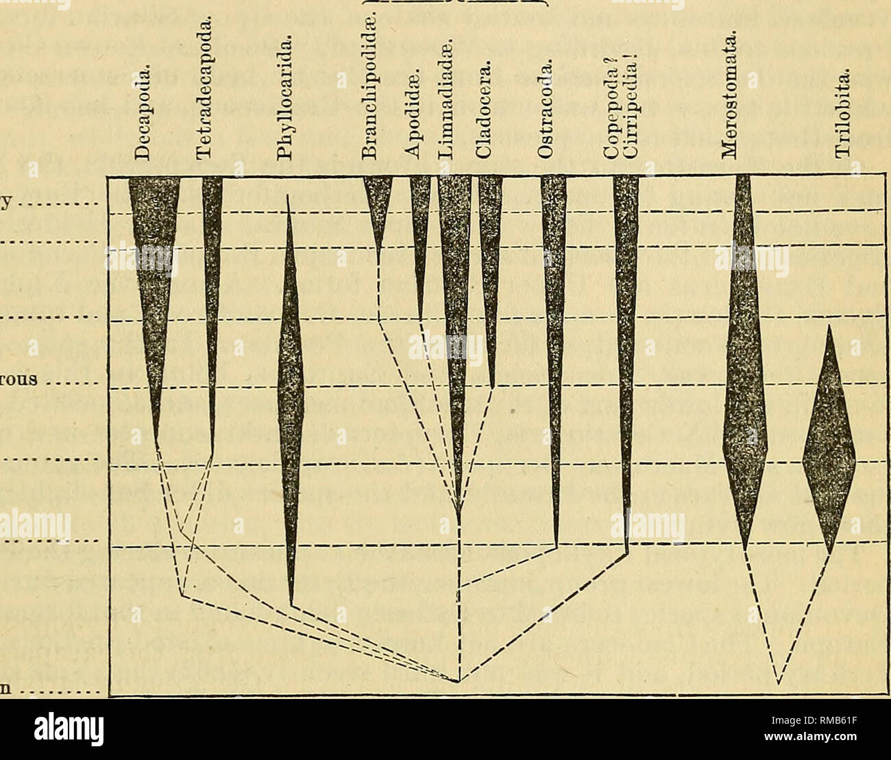 . Annual report. 1st-12th, 1867-1878. Geology. PACKAHD.] GEOLOGICAL ...