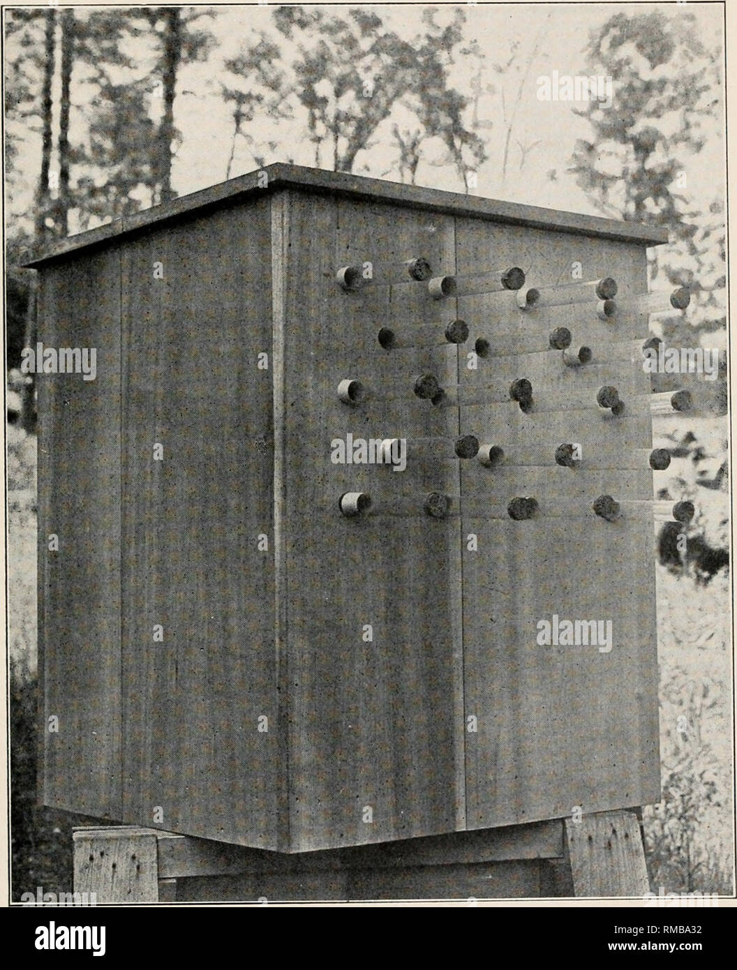 Moths attracted to light hi-res stock photography and images - Alamy