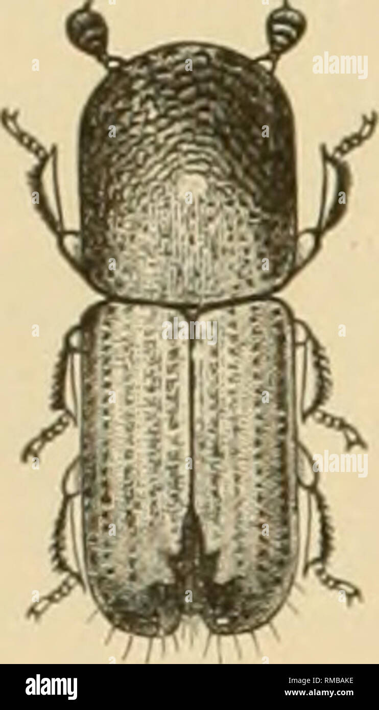 . Annual report. New York State Museum; Science. 290 NEW YORK STATE ...