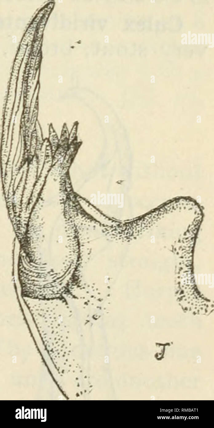 . Annual report. New York State Museum; Science -- New York (State ...
