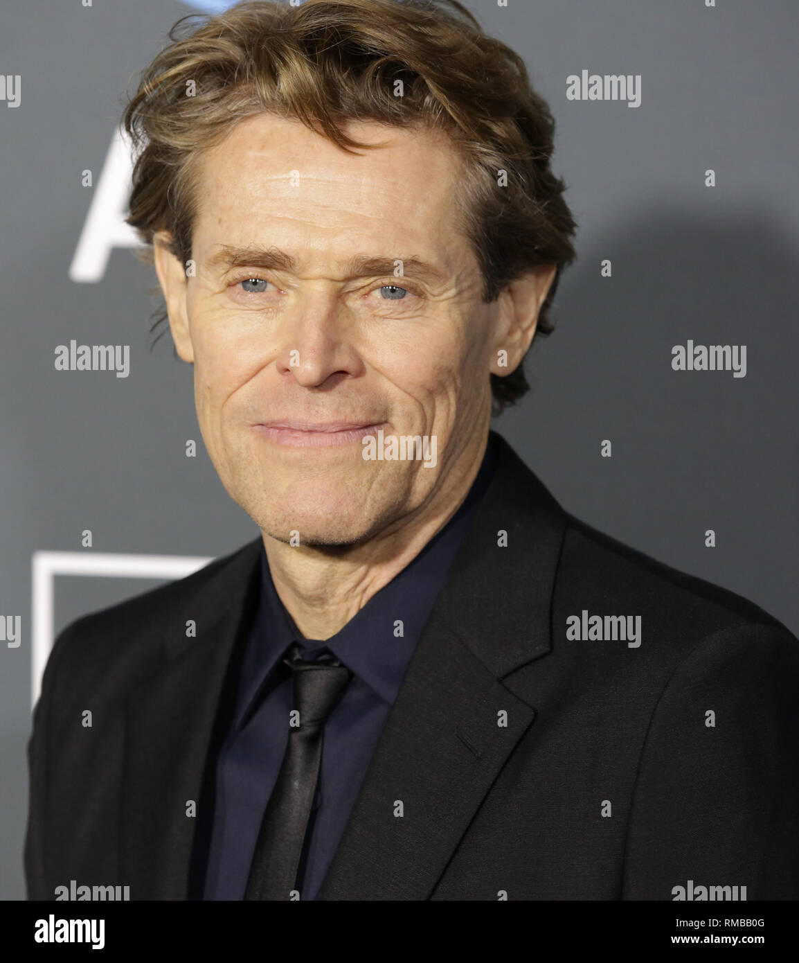 Celebrities attend 24th Annual Critic's Choice Awards Arrivals at Barker Hanger in Santa Monica ...