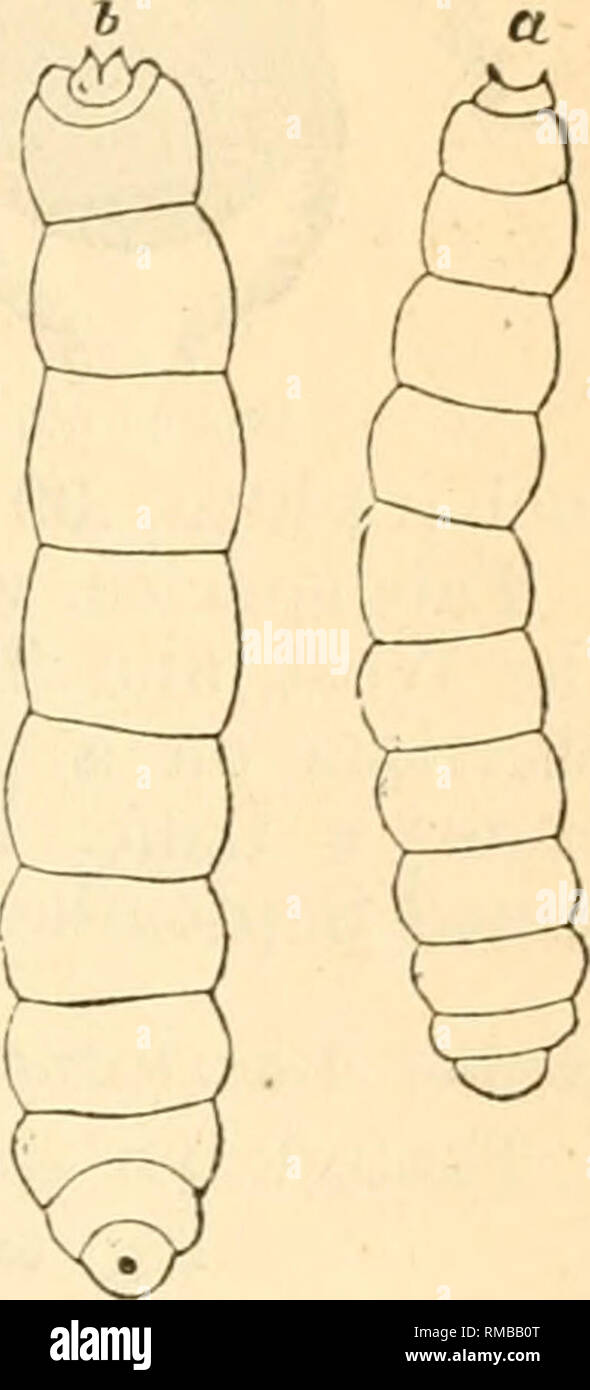 J segment hi-res stock photography and images - Alamy