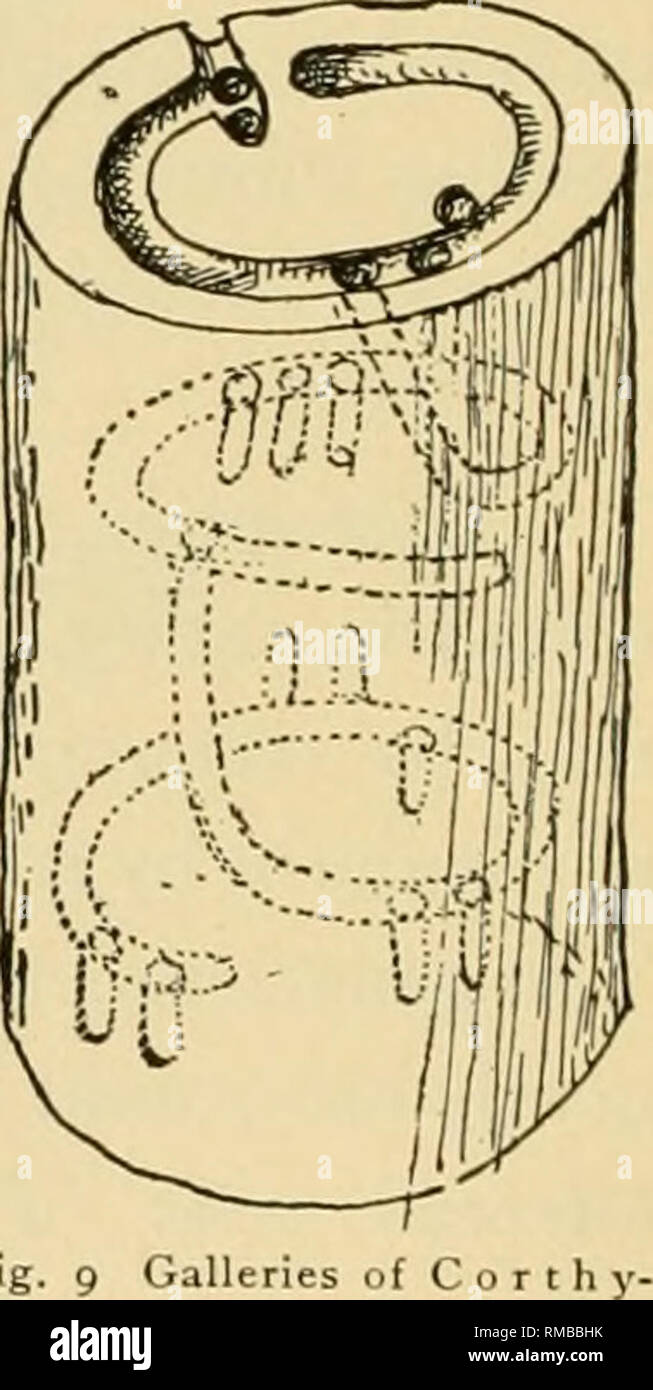 U shaped burrow hi-res stock photography and images - Alamy