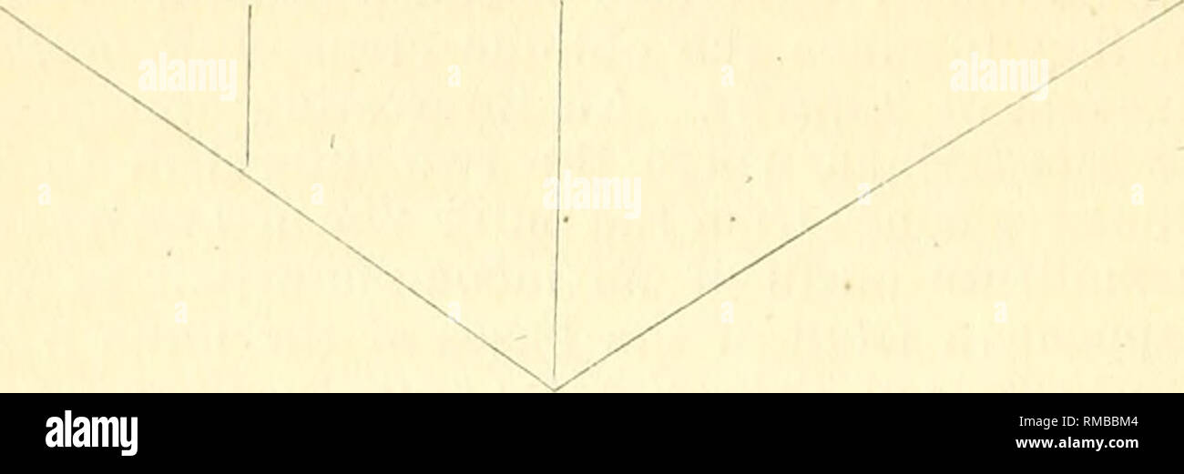 . Annual report. 1st-12th, 1867-1878. Geology. G48 GEOLOGICAL SURVEY OF ...