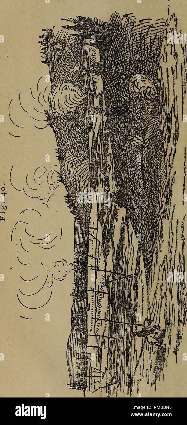 Mud puffs hi-res stock photography and images - Alamy