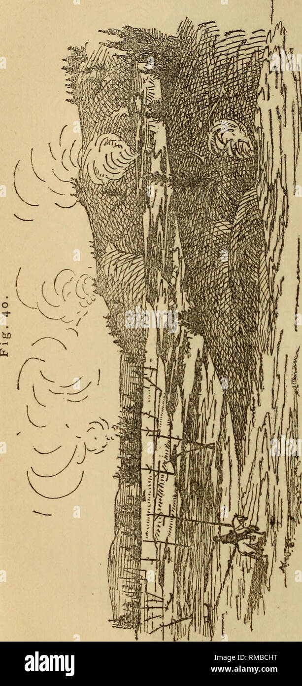 Mud Puffs High Resolution Stock Photography and Images - Alamy