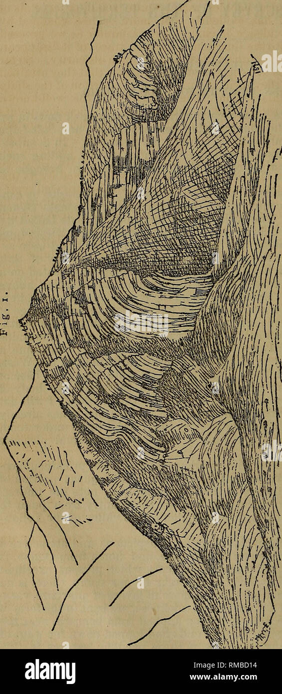 Monoclinal hi-res stock photography and images - Alamy