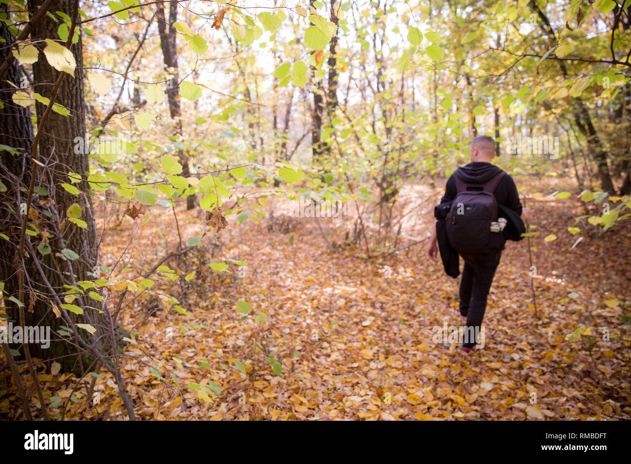 Hoia baciu haunted forest hi-res stock photography and images - Alamy