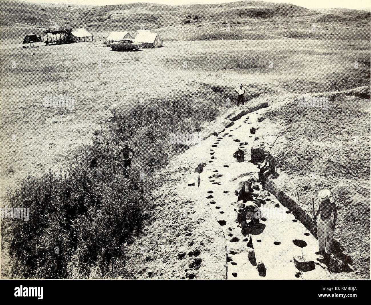 . Annual report of the Bureau of American Ethnology to the Secretary of ...