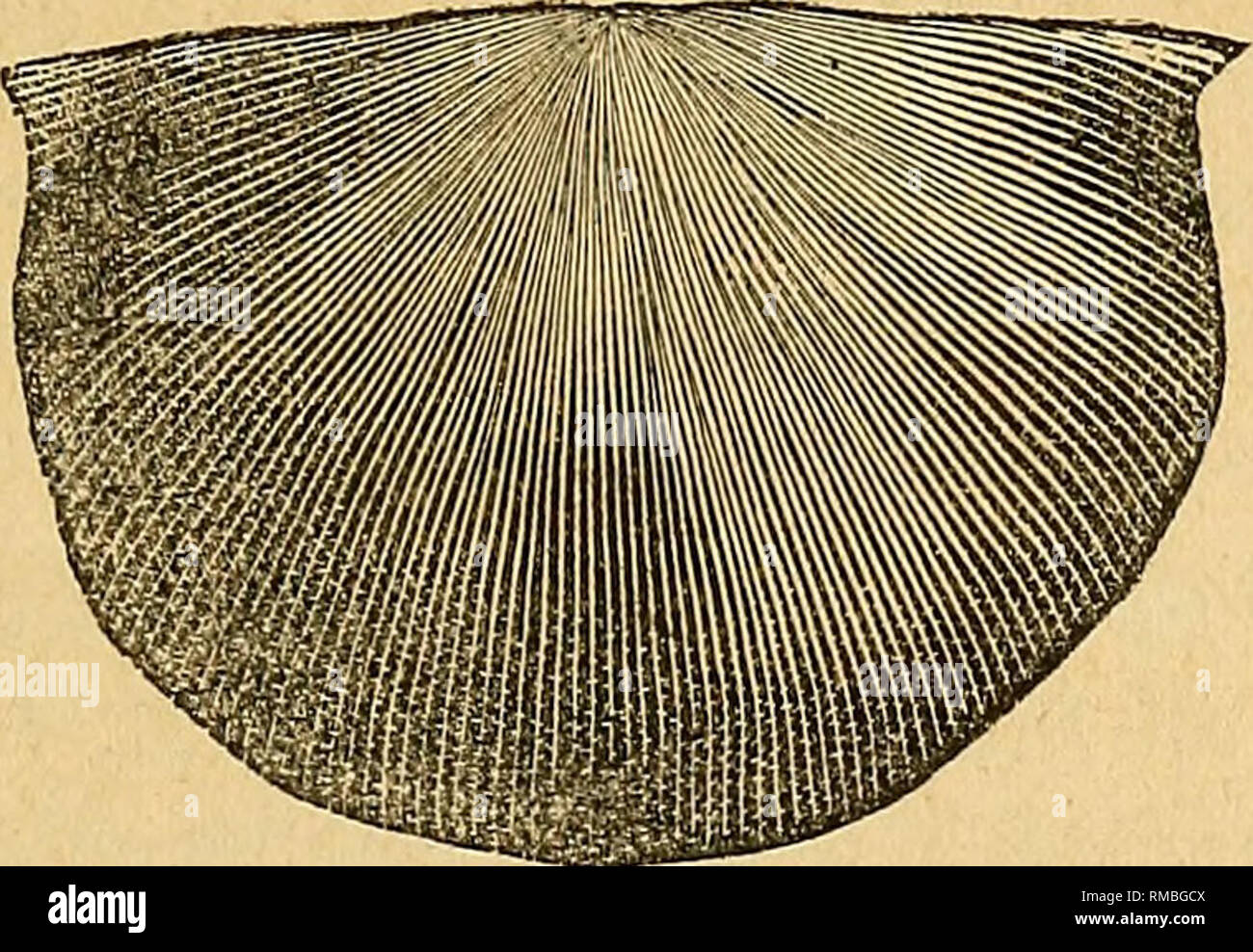 . Annual report of the regents of the university of the state of New ...