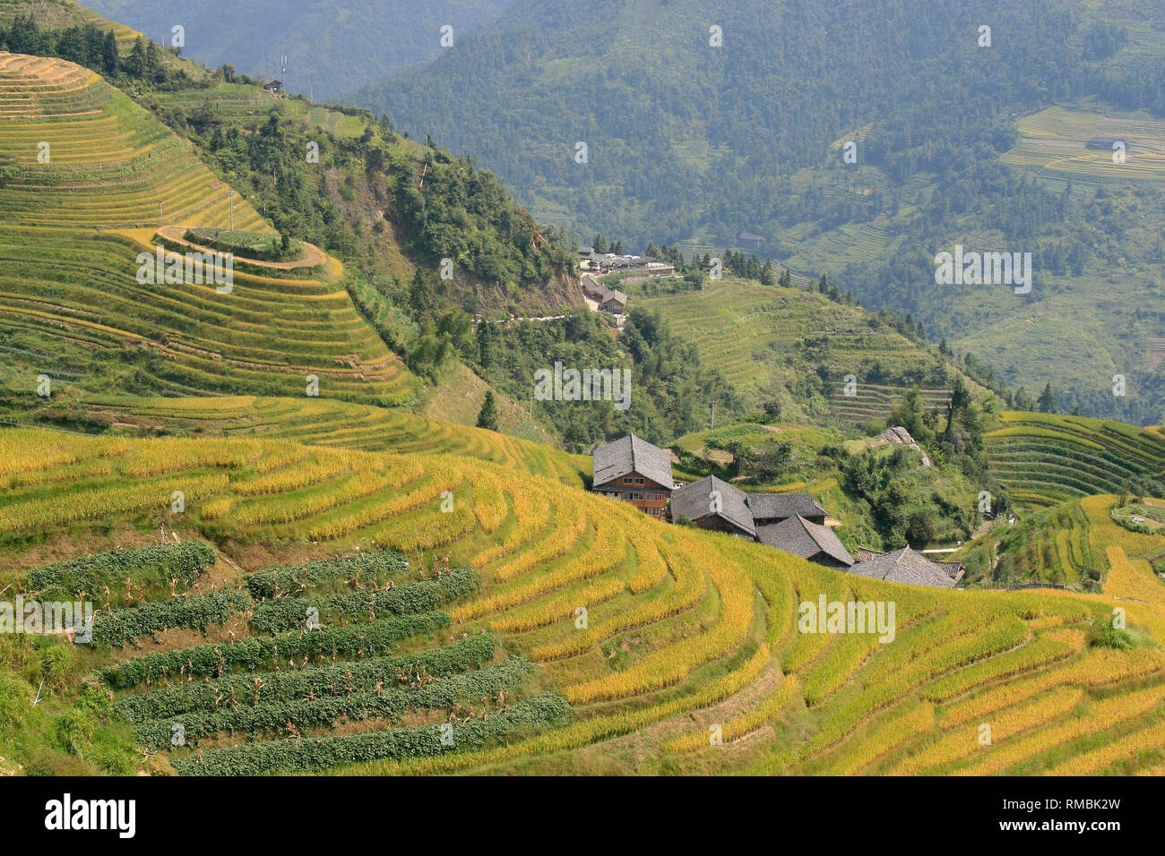 The Longsheng Rice Terraces Dragon's Backbone also known as Longji Rice ...