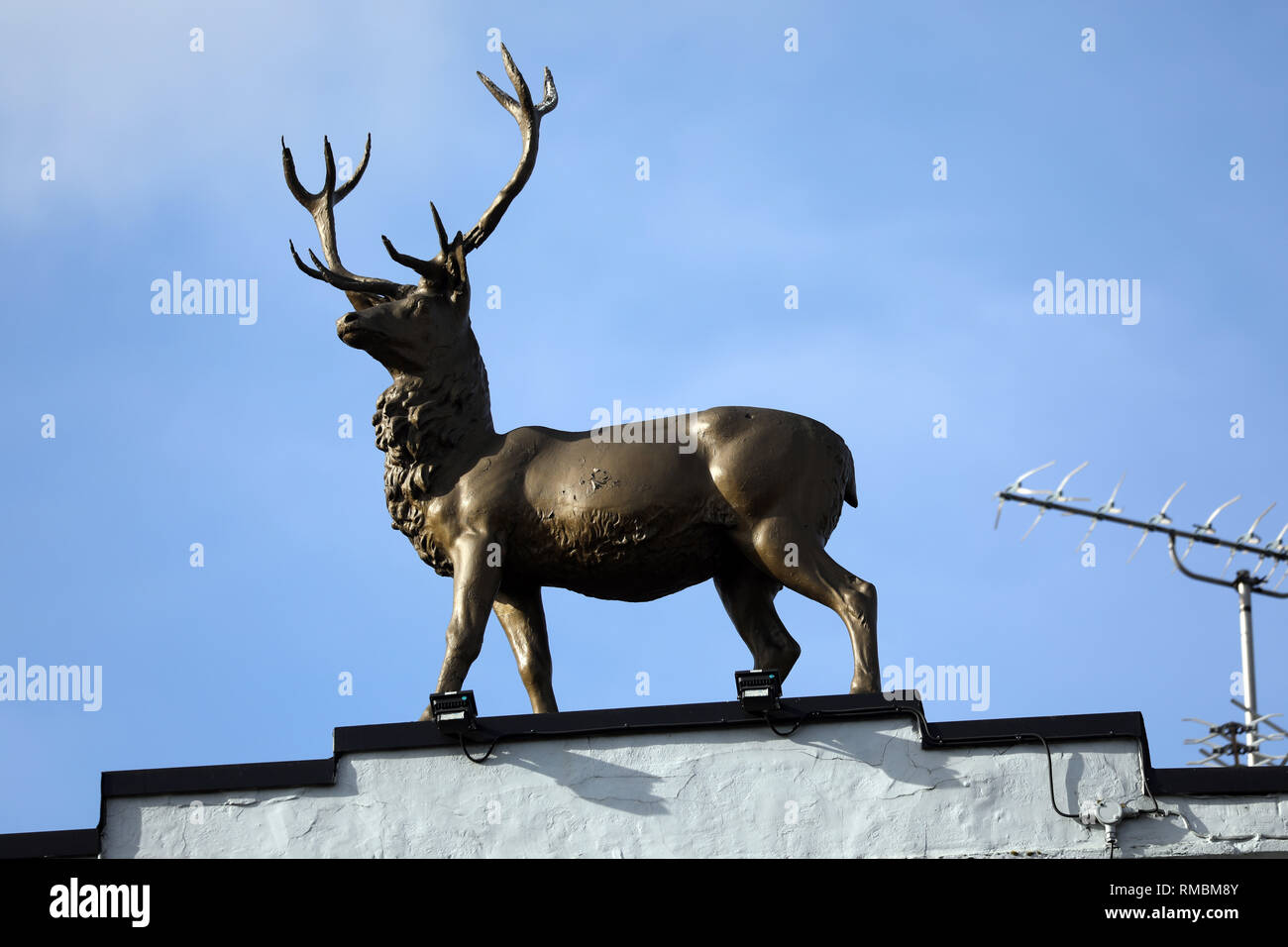 Stag statue above a pub Bald Faced Stag in North London picture by ...