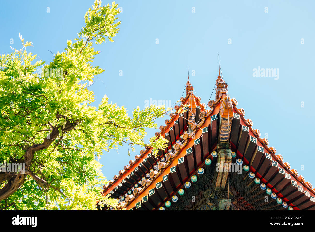 Chinese traditional roof and green tree at Confucius Temple in Beijing ...