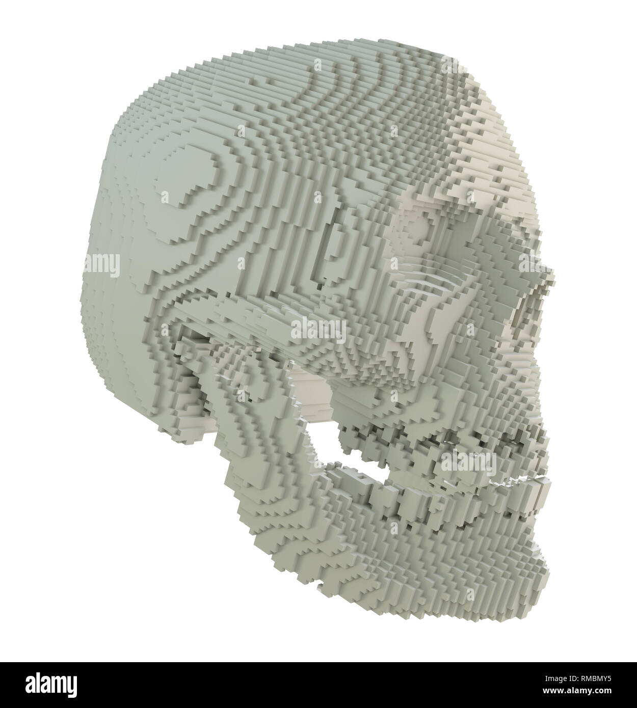 3d printed plastic skull hi-res stock photography and images - Alamy
