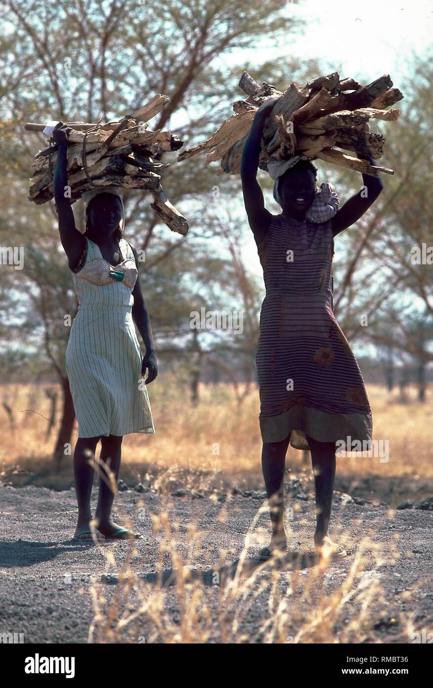Women collecting wood Stock Photo - Alamy