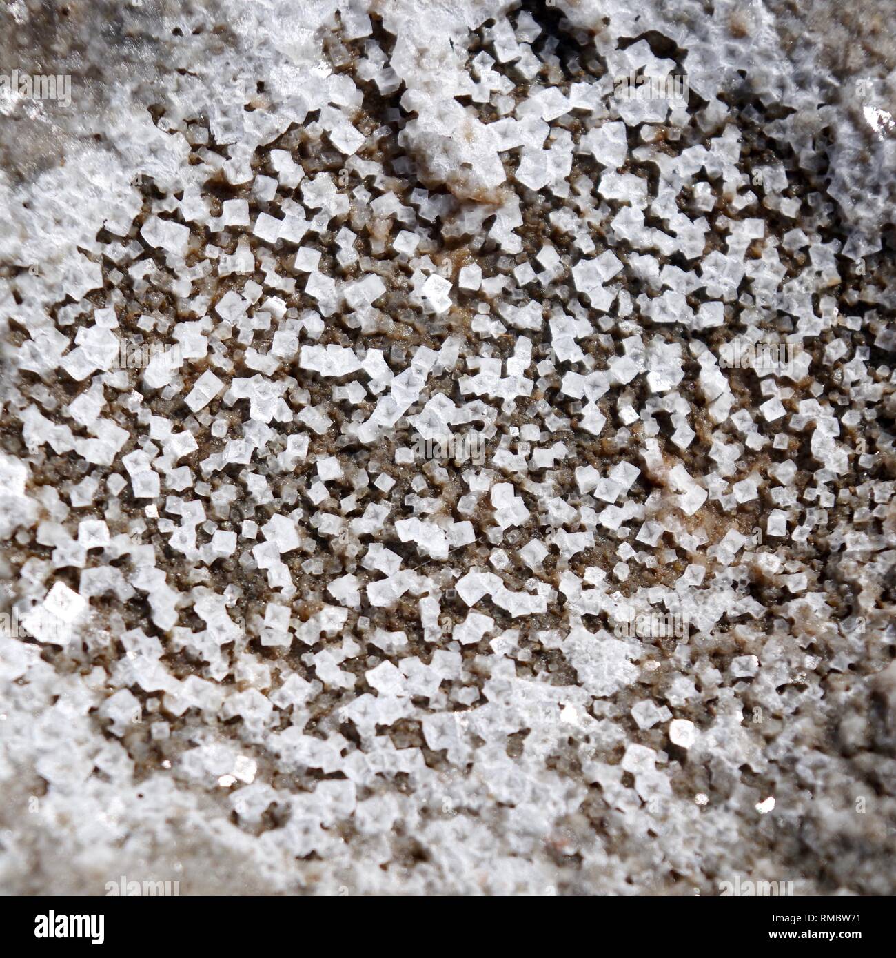 Natural Background of Halite Salt Crystals Forming from Evaporation in ...