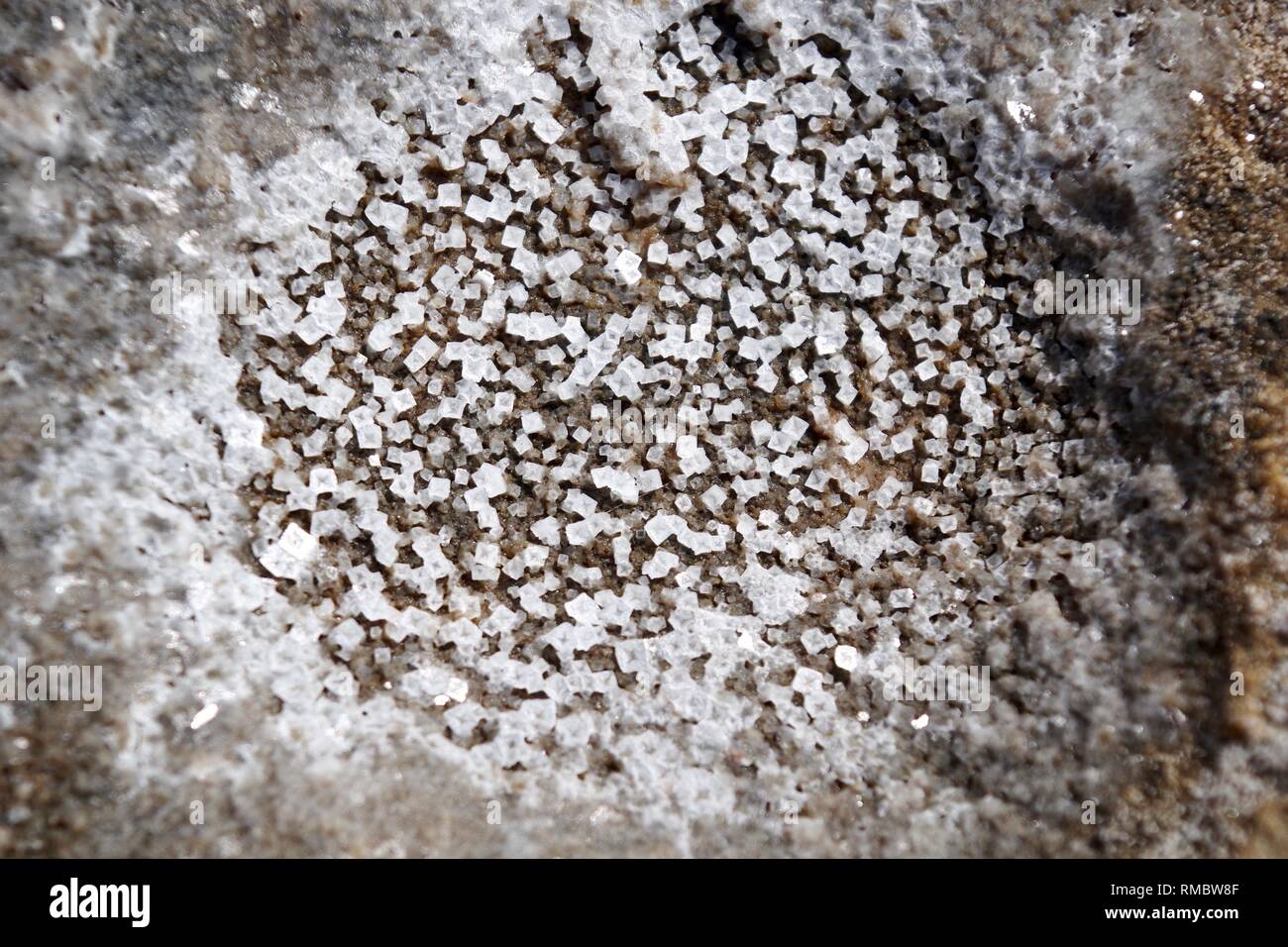 Natural Background of Halite Salt Crystals Forming from Evaporation in ...