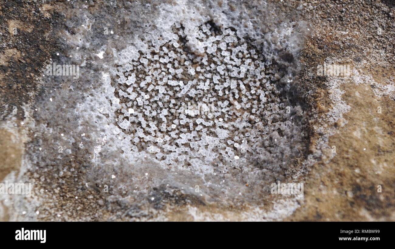 Natural Background of Halite Salt Crystals Forming from Evaporation in ...