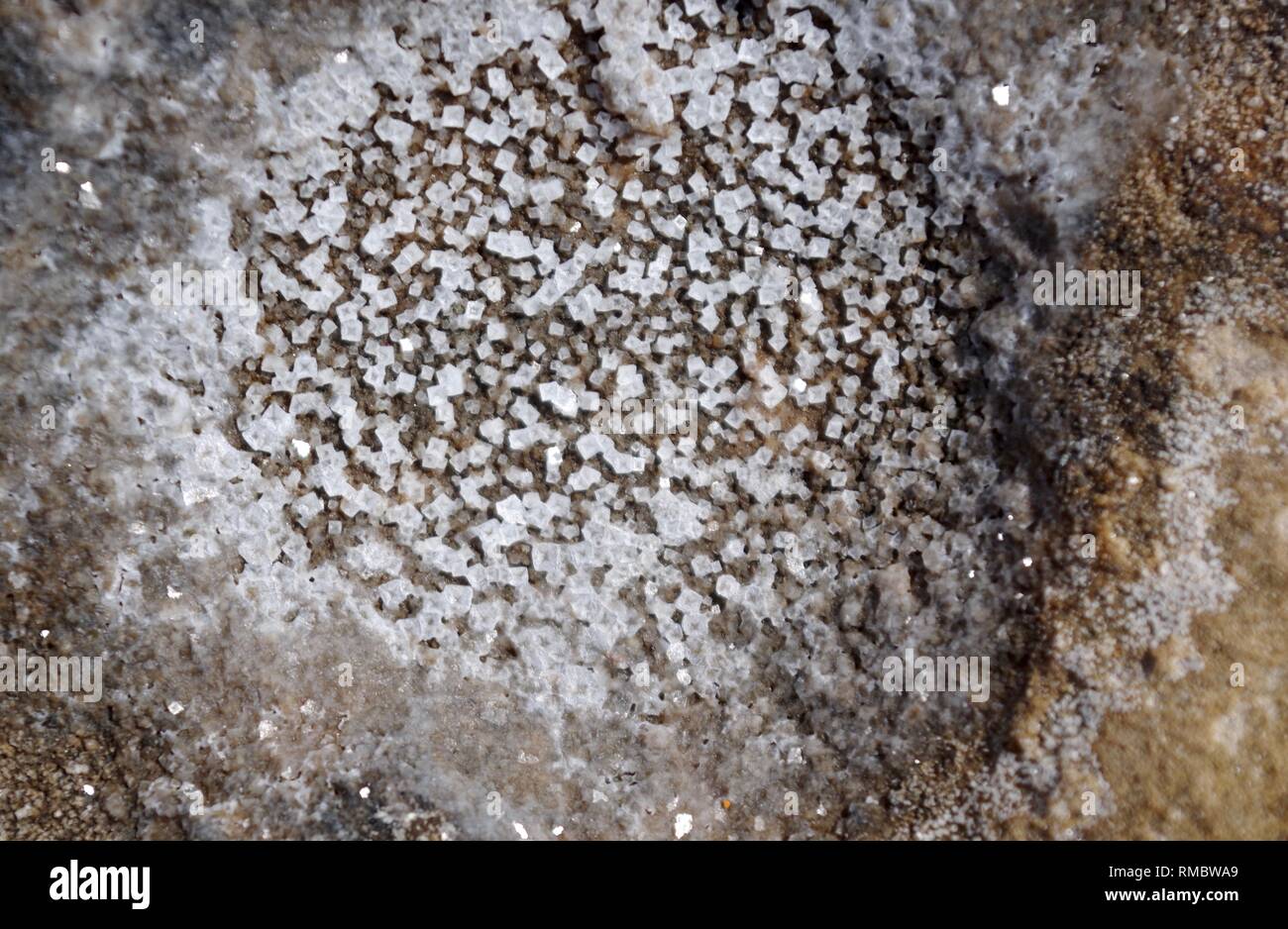 Natural Background of Halite Salt Crystals Forming from Evaporation in ...