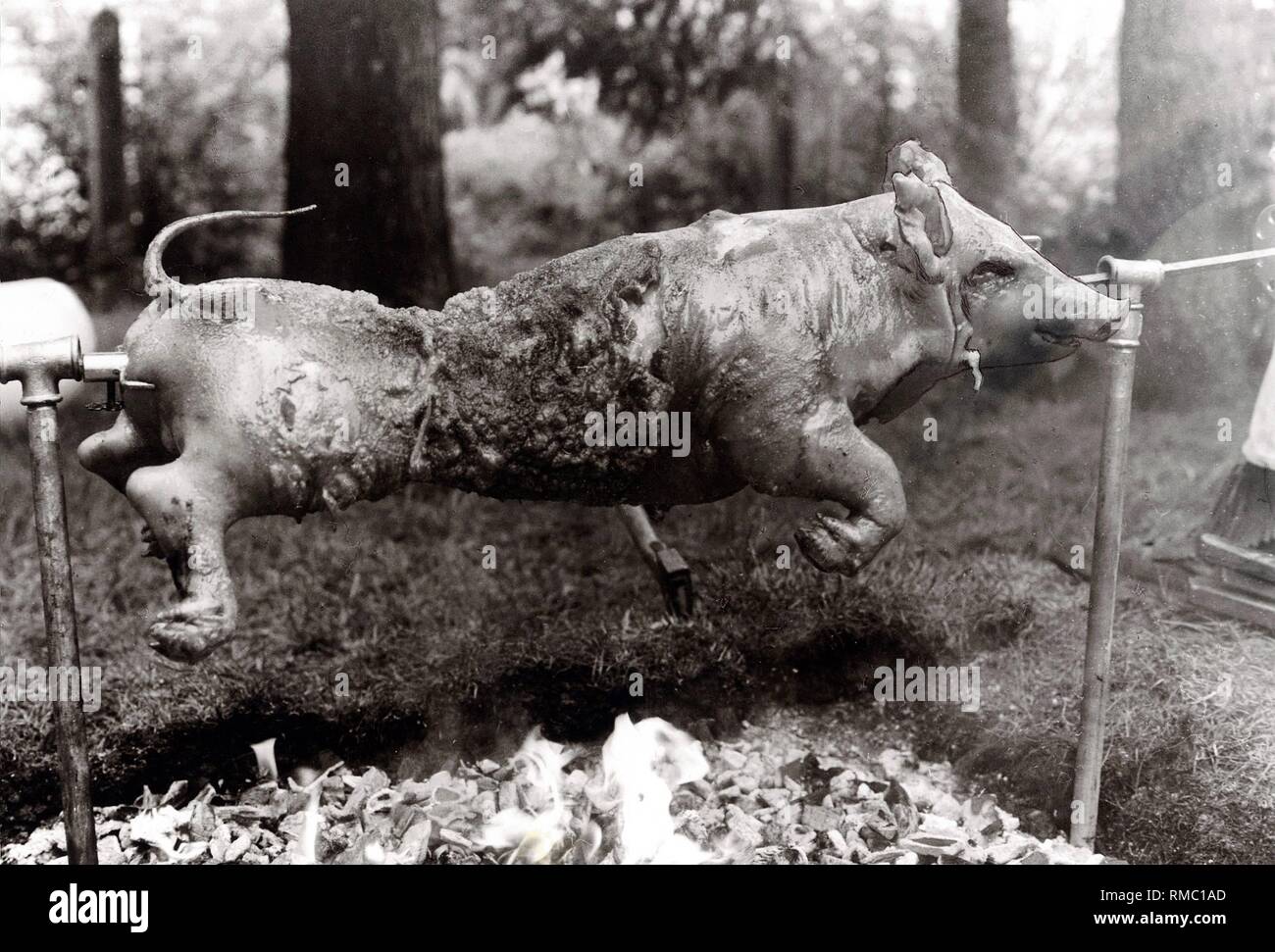 Pigling spit hi-res stock photography and images - Alamy