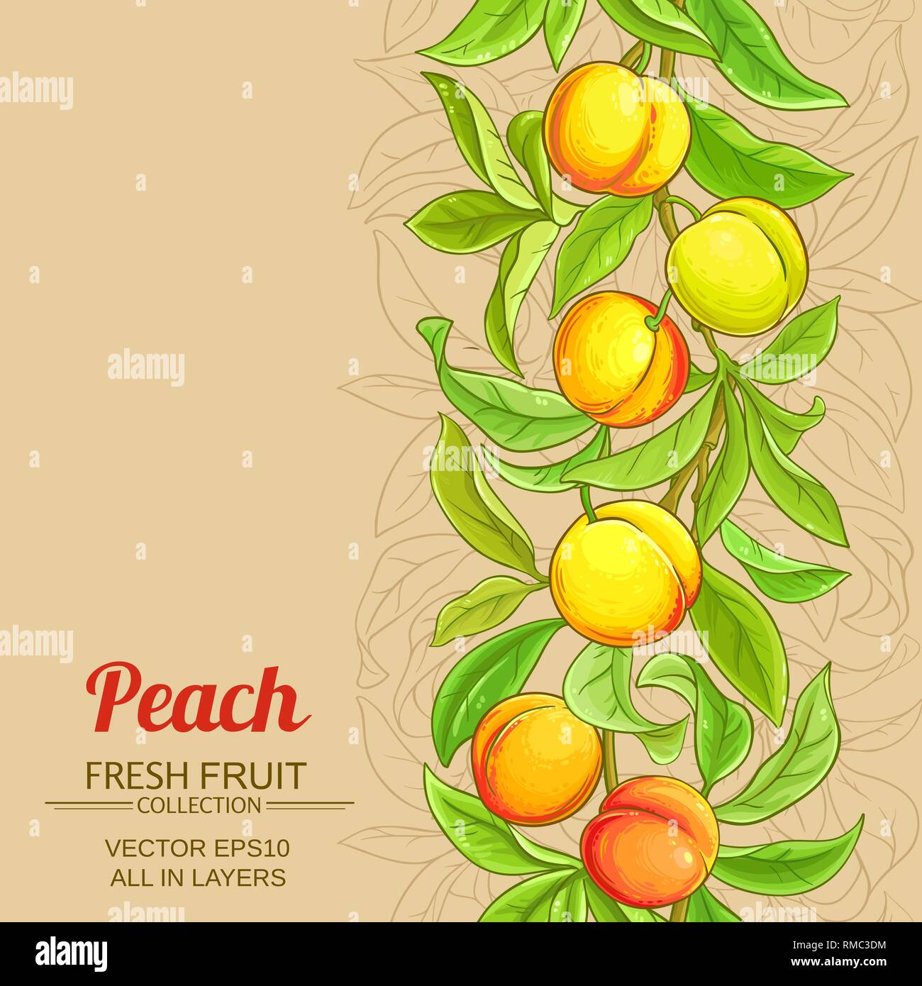 Peach color background Stock Vector Images - Alamy