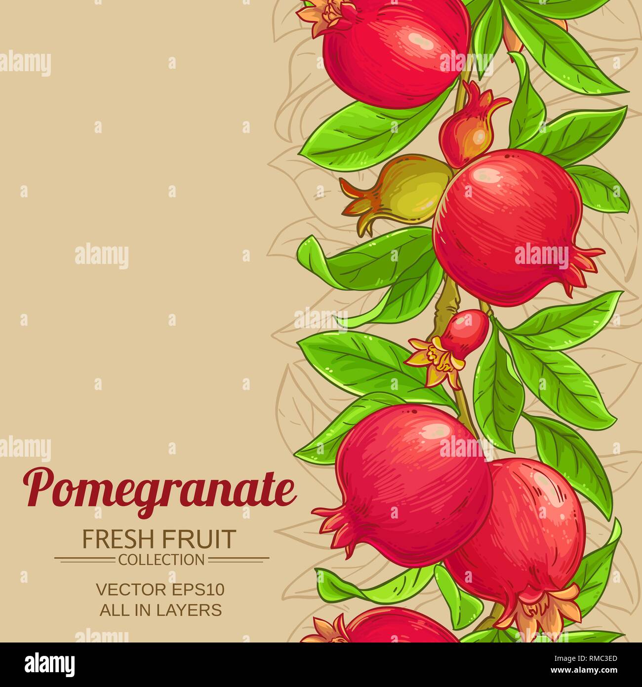 Pomegranate color vector vectors hi-res stock photography and images ...