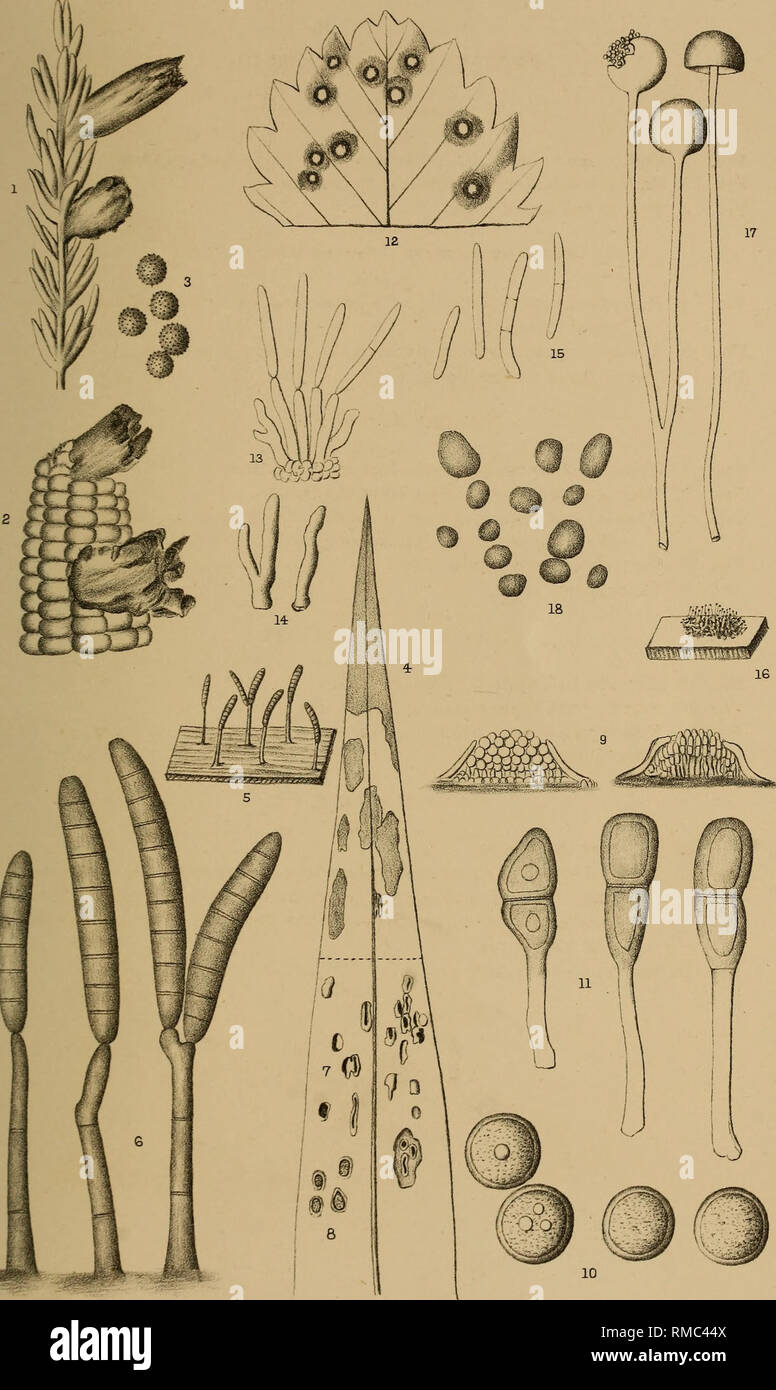 Tpws hi-res stock photography and images - Alamy