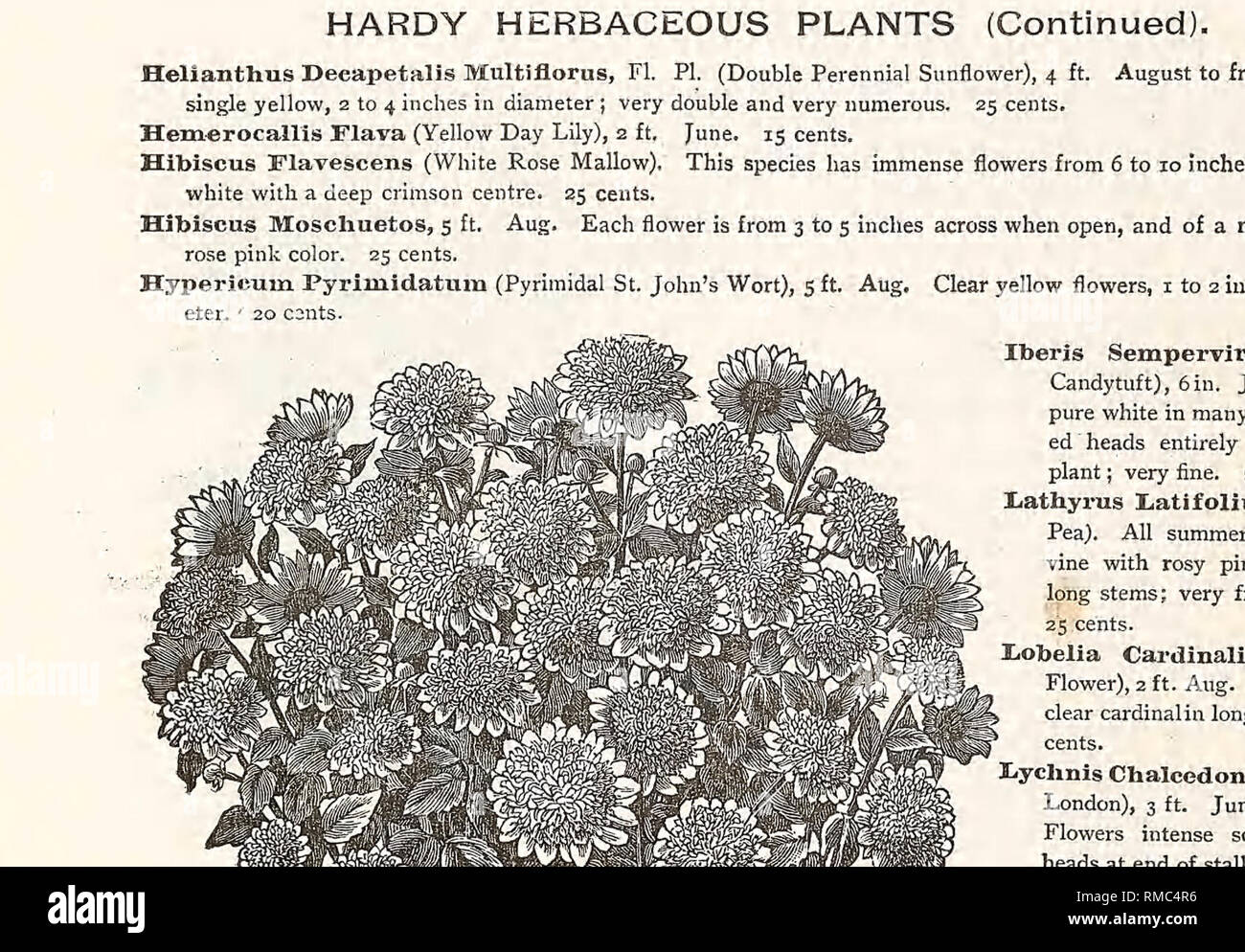 J christopher flowers hi-res stock photography and images - Alamy