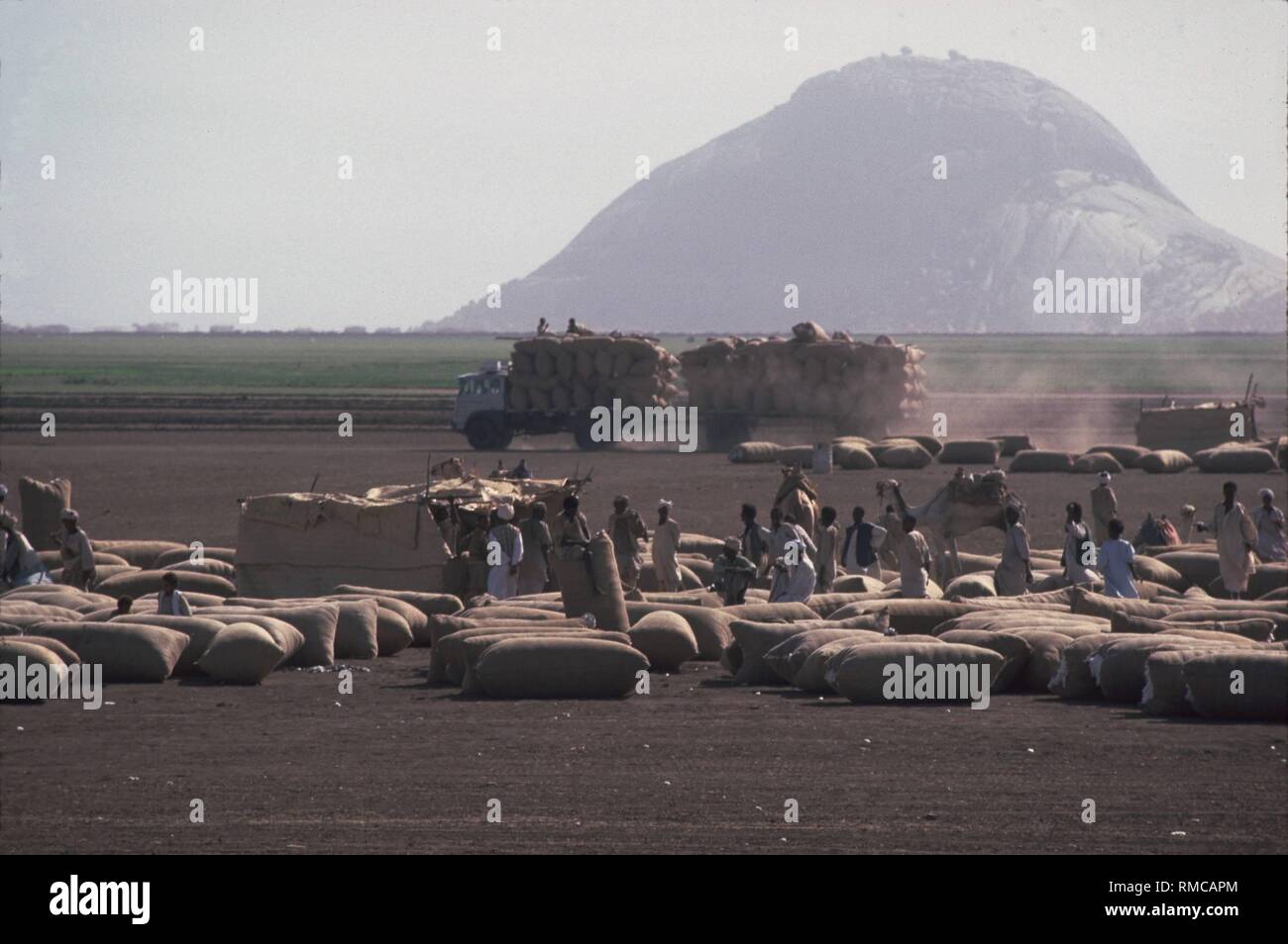 Cotton bales truck hi-res stock photography and images - Alamy