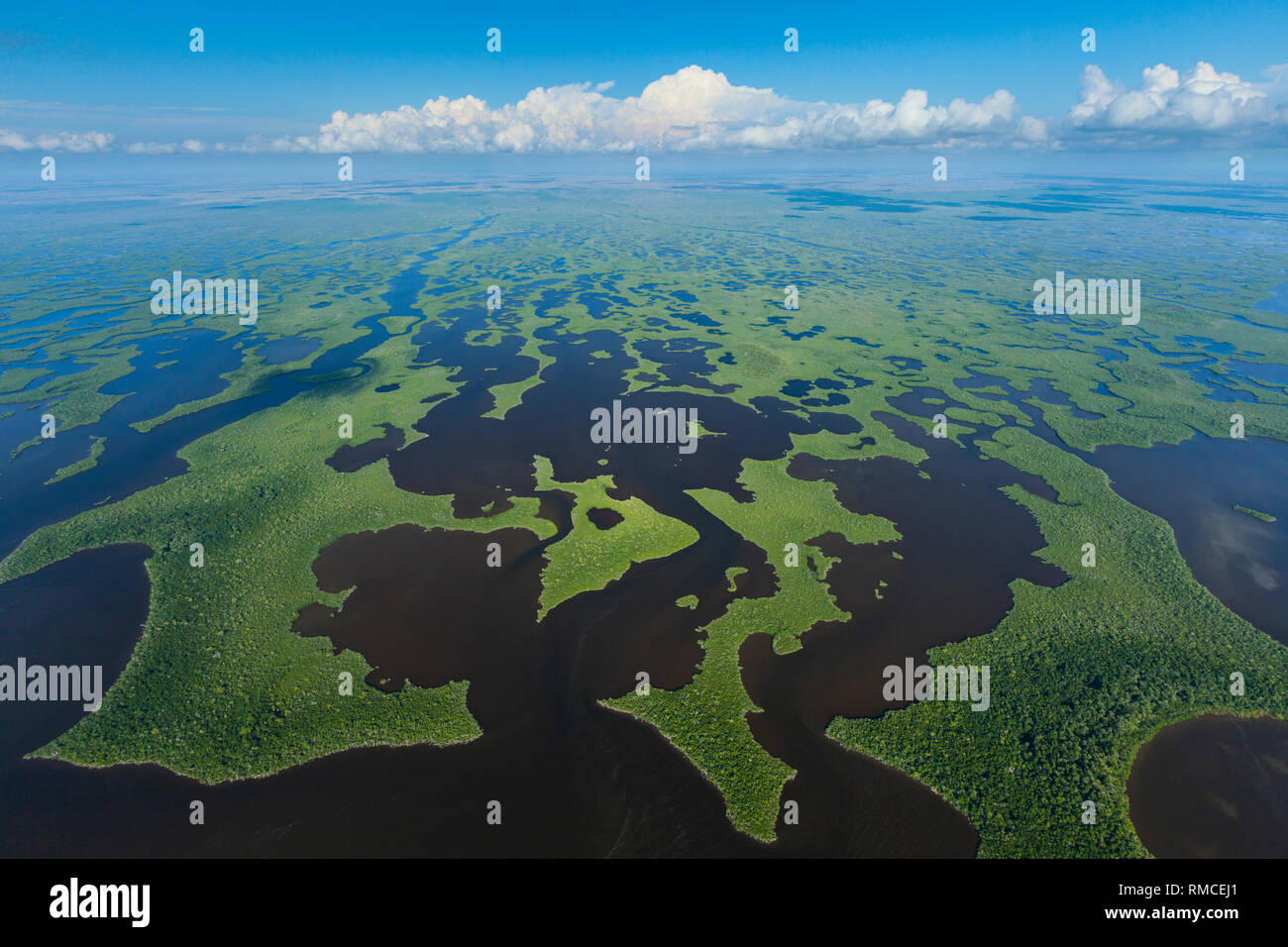Aerial view everglades national park hi-res stock photography and ...