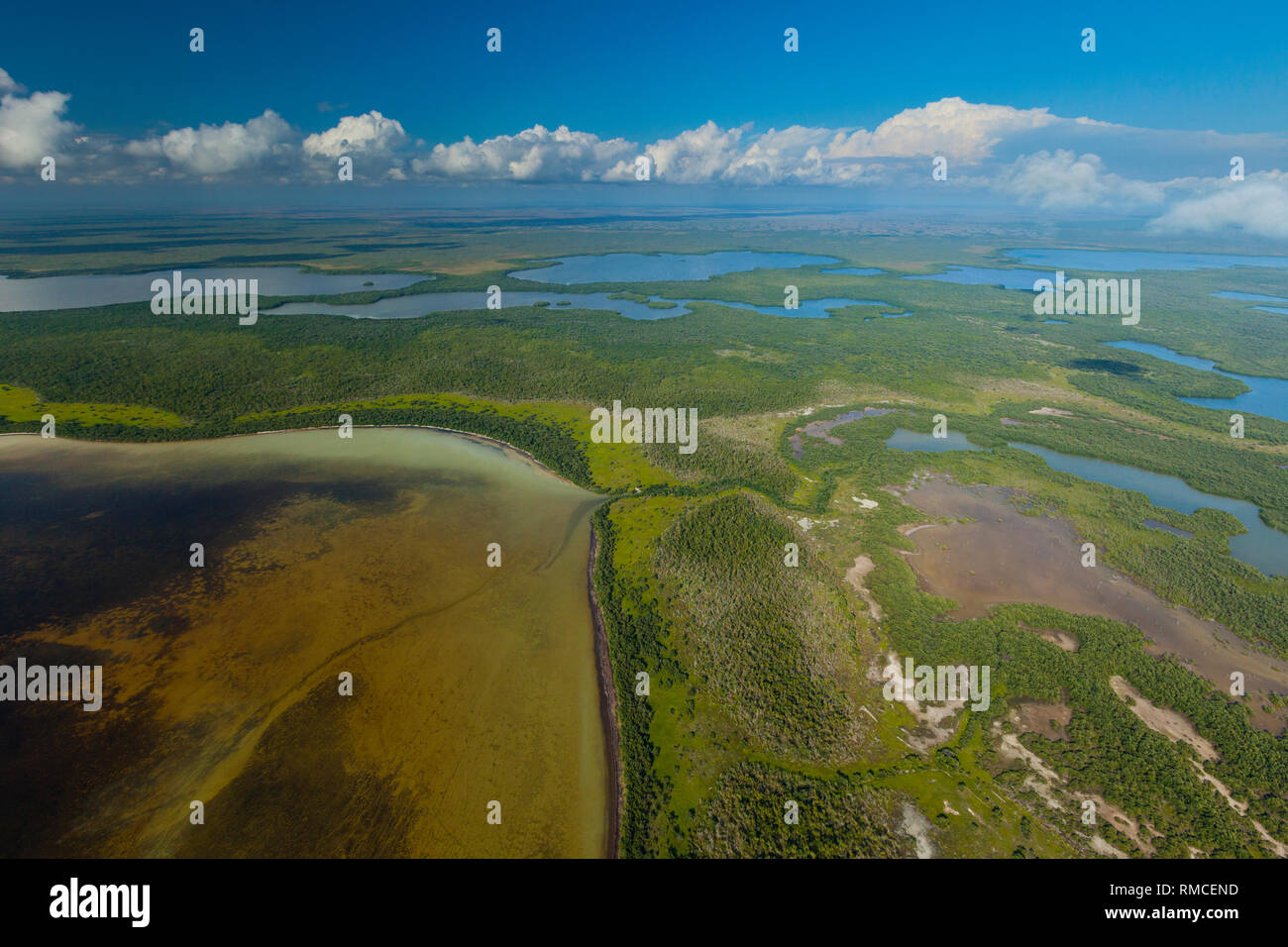 The everglades aerial hi-res stock photography and images - Alamy