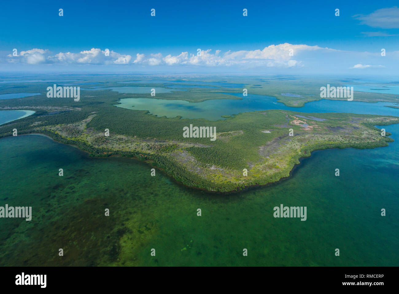 Aerial view, Everglades Natuional Park, FLORIDA, USA, AMERICA Stock ...