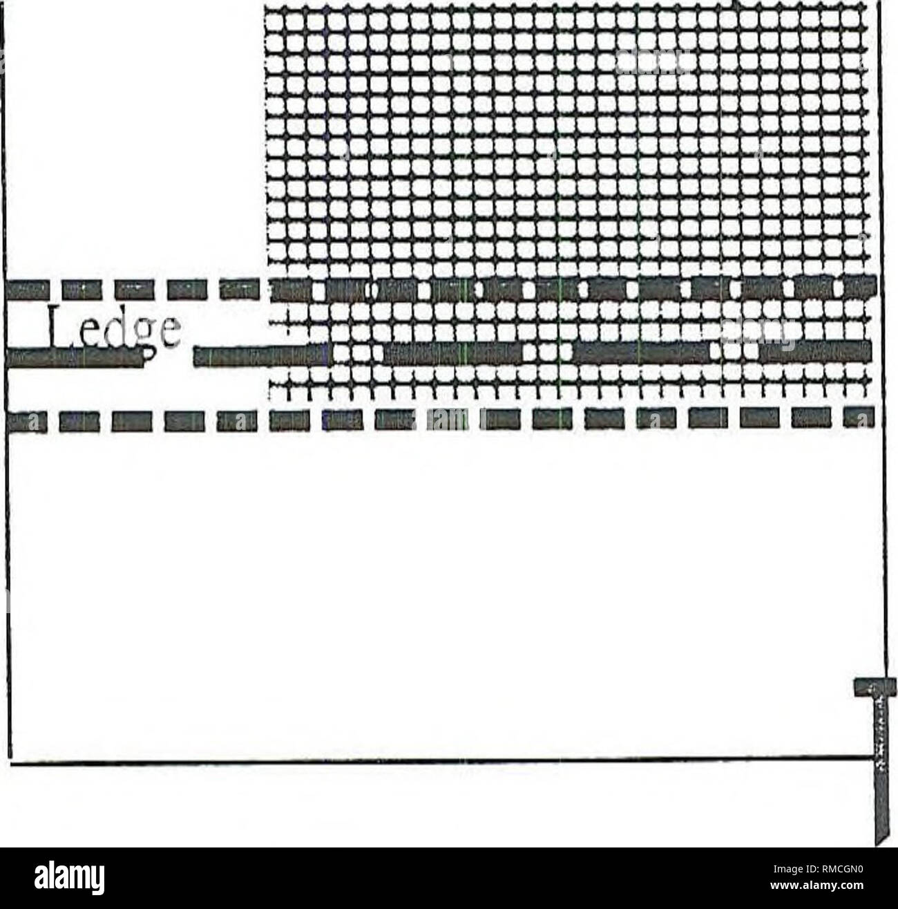 Springsnail hi-res stock photography and images - Alamy