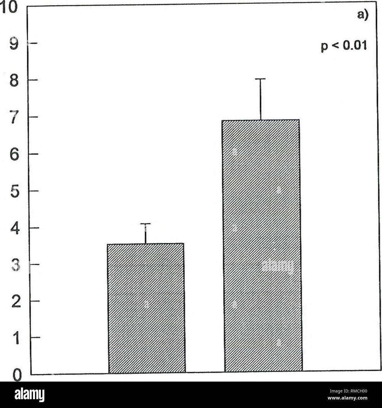 Springsnail hi-res stock photography and images - Alamy
