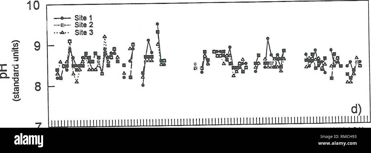 Springsnail hi-res stock photography and images - Alamy