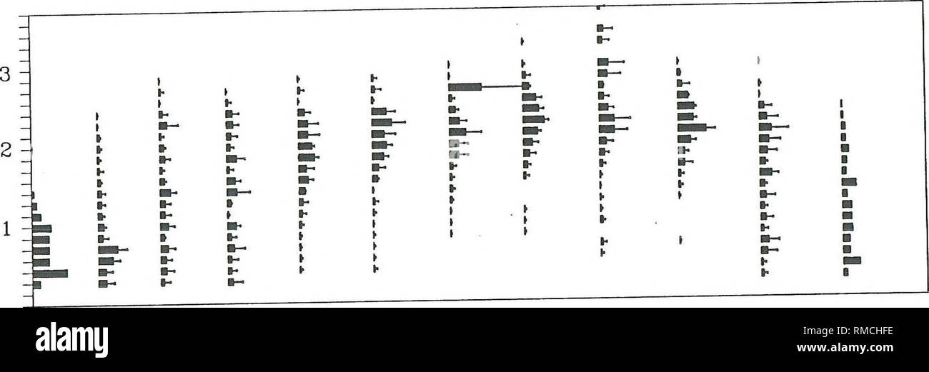 Springsnail hi-res stock photography and images - Alamy