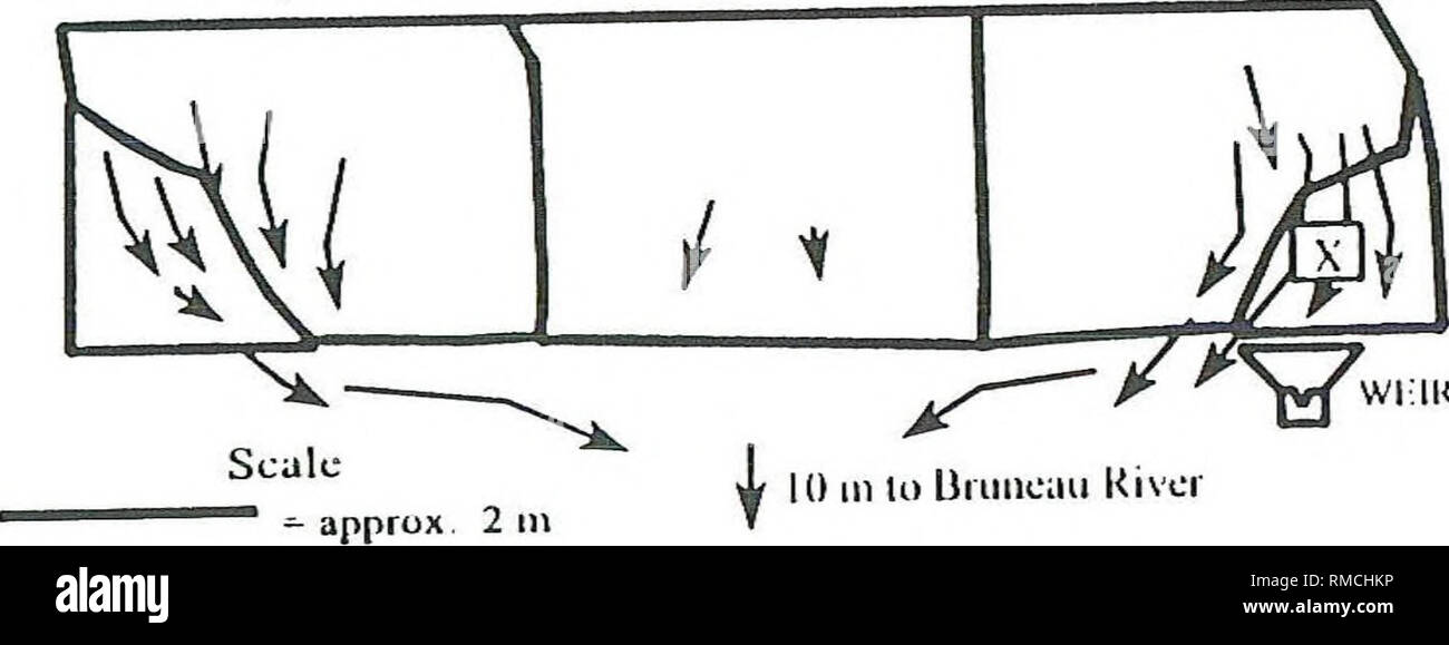 Springsnail hi-res stock photography and images - Alamy