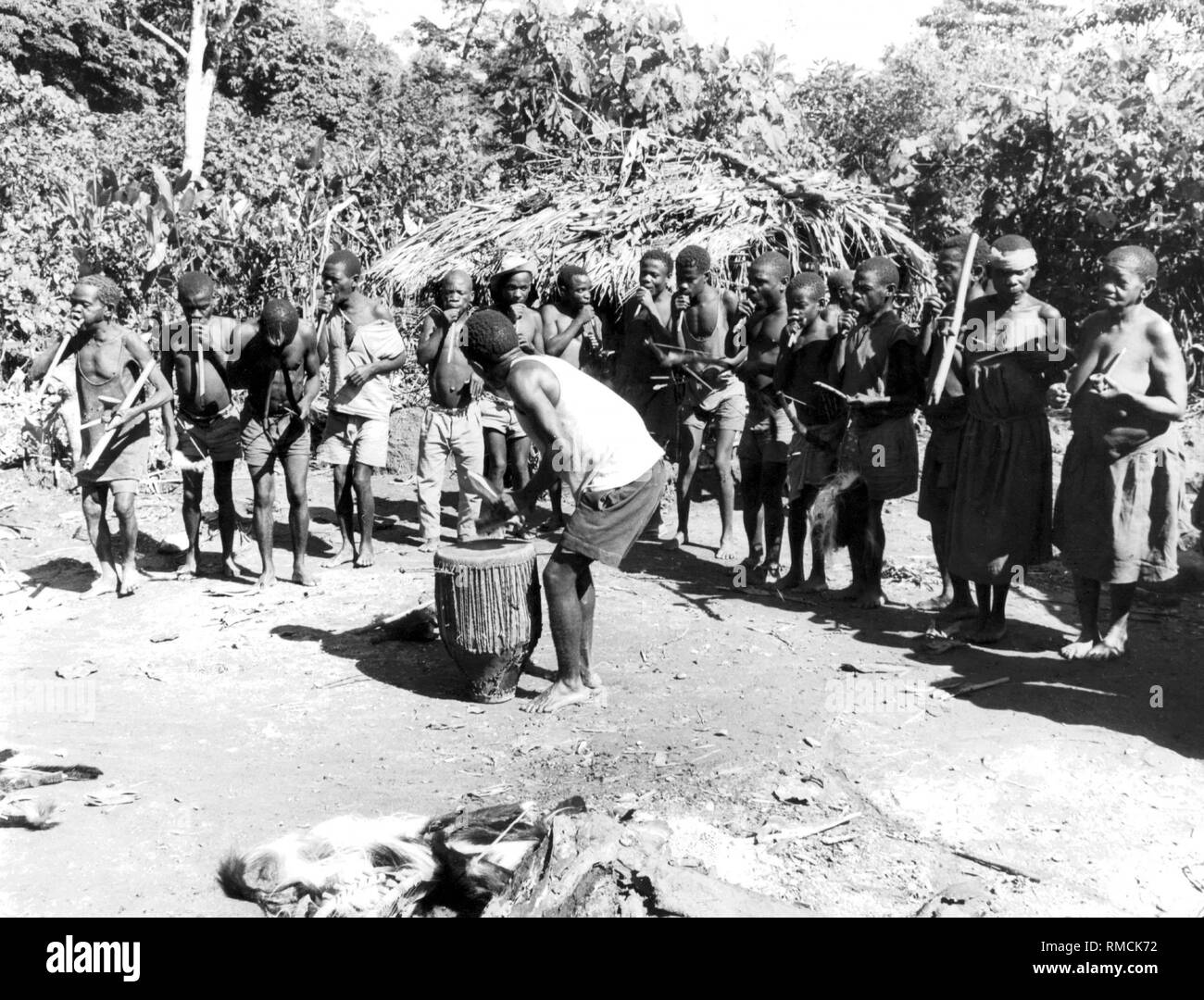 Pygmies congo hi-res stock photography and images - Alamy