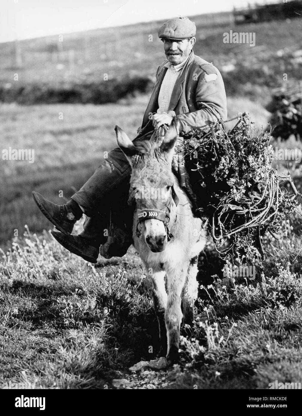 Farmer population hi-res stock photography and images - Alamy
