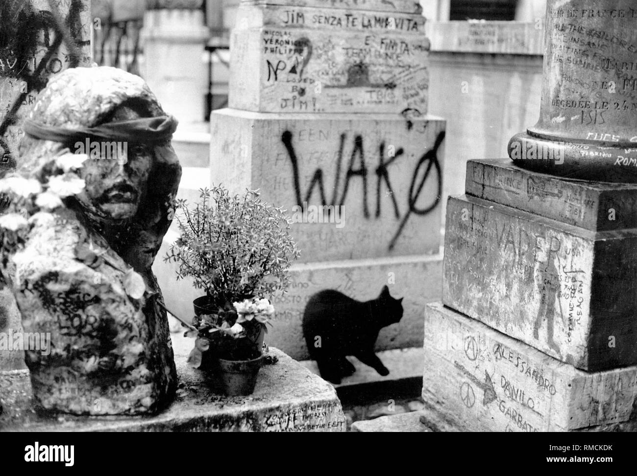 Black cat at the grave of Jim Morrison in the Pere Lachaise Cemetery in ...