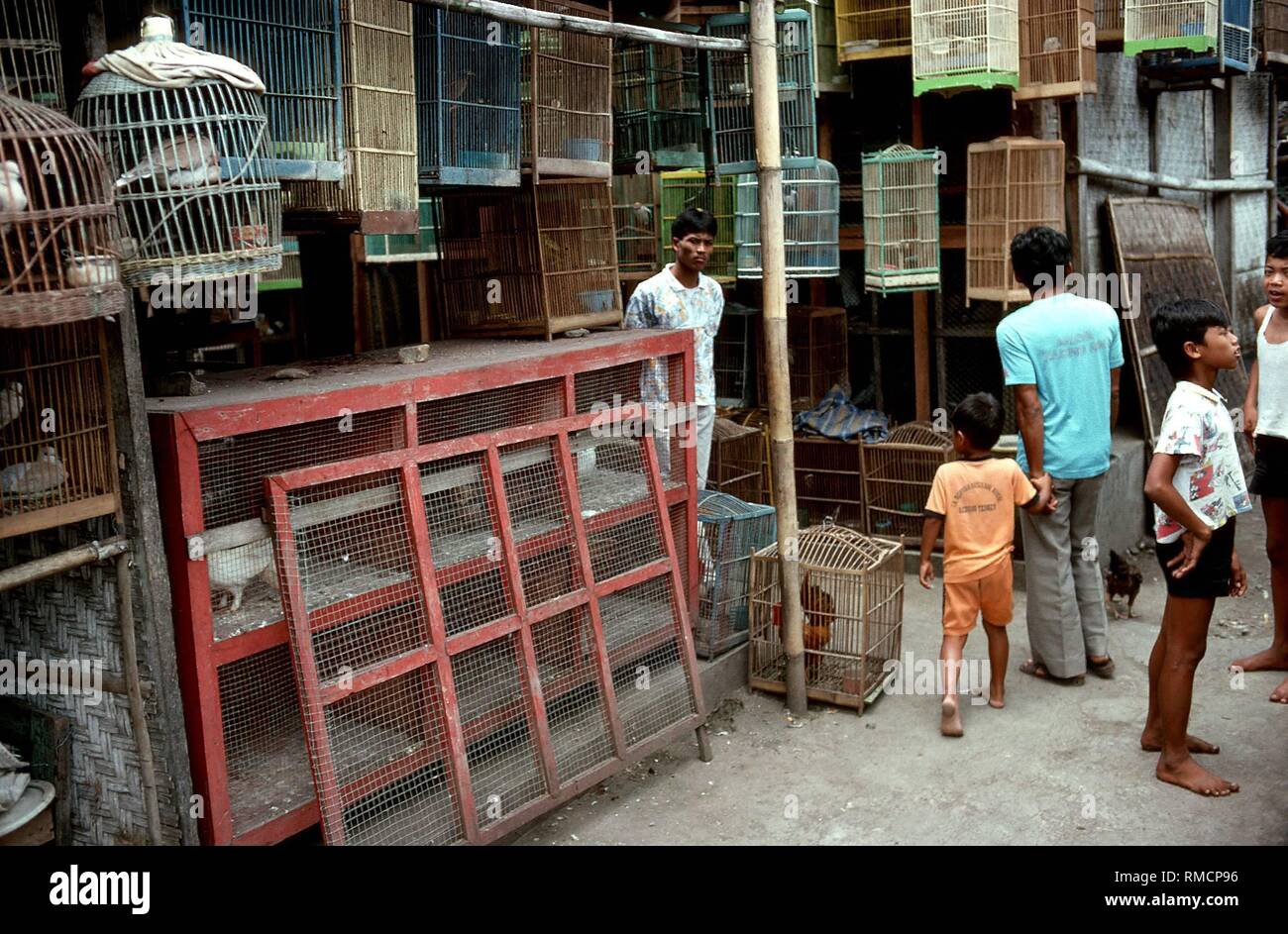 Bird trader hi-res stock photography and images - Alamy